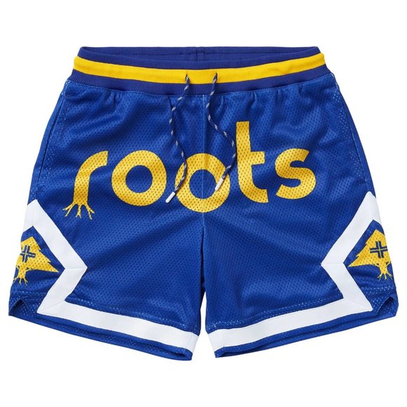 Lrg | Shorts | Lifted Research Group Lrg Mens Original Roots Mesh ...